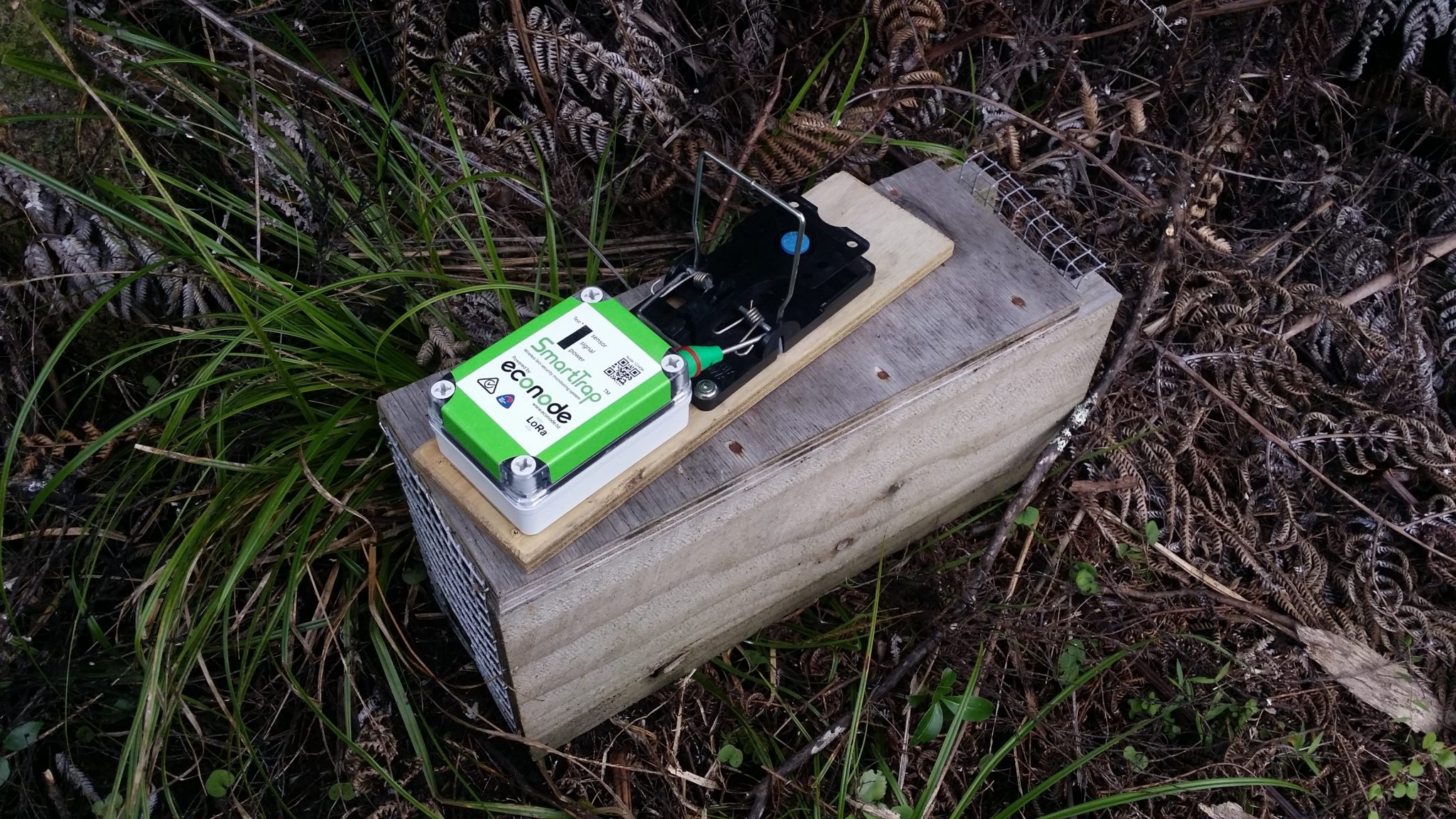 Remote monitoring of traps - Predator Free NZ Trust