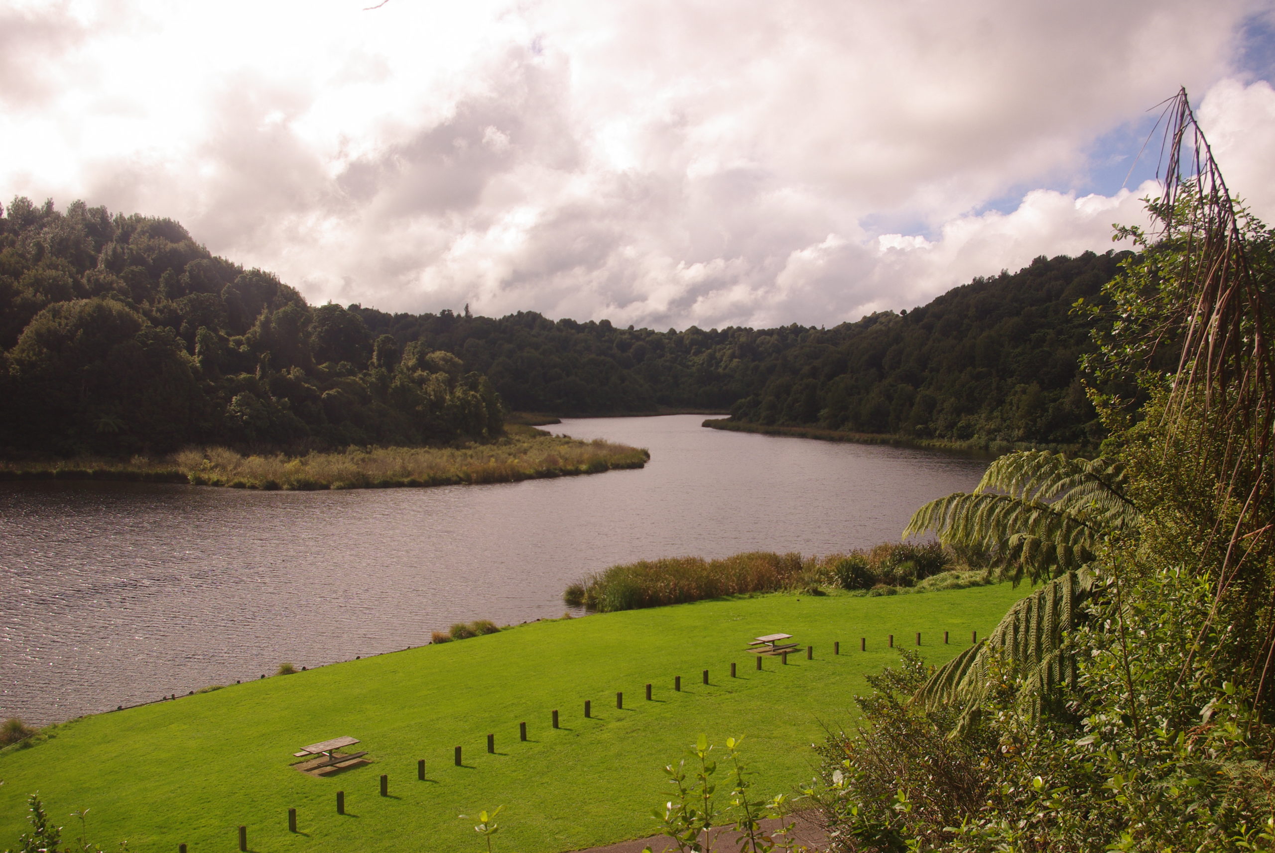 Rotokare Scenic Reserve valued and thriving once more - Predator Free ...