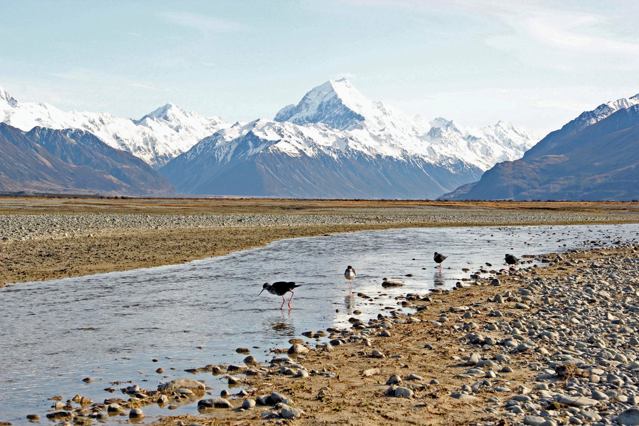 'Rivers Rare' tells success story of Waitaki braided river conservation ...