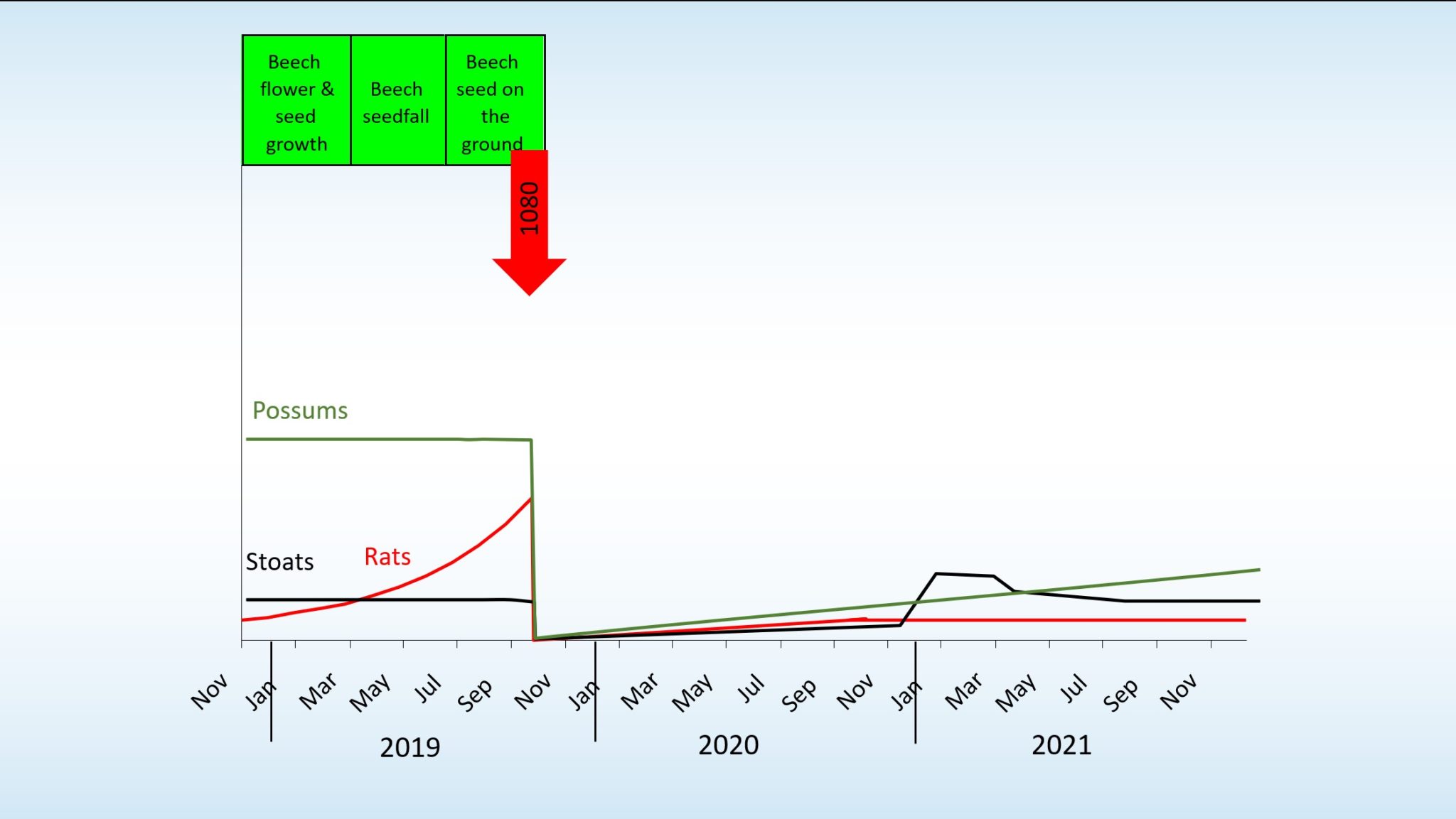 How can we help native species in a mast year? - Predator Free NZ Trust