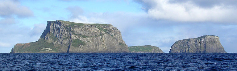 Remembering Don Merton and a bird called 'Old Blue' - Predator Free NZ ...