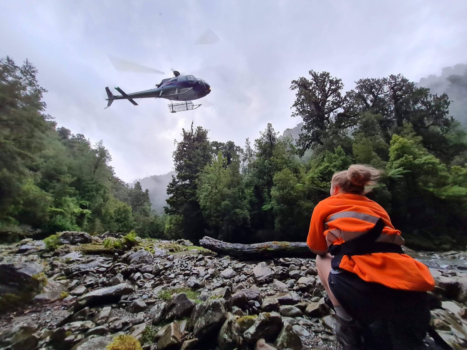 Predator Free Apprentice Programme - Predator Free NZ Trust