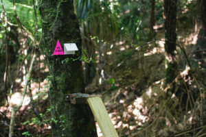 How to set traplines - Predator Free NZ Trust