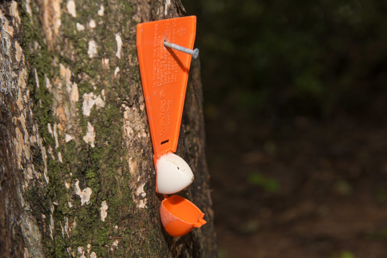 Wax tags - Predator Free NZ Trust