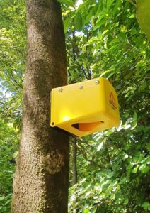 How to choose the right trap - Predator Free NZ Trust