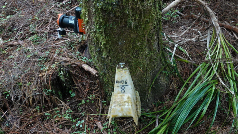 Bait stations for targeting rats - Predator Free NZ Trust