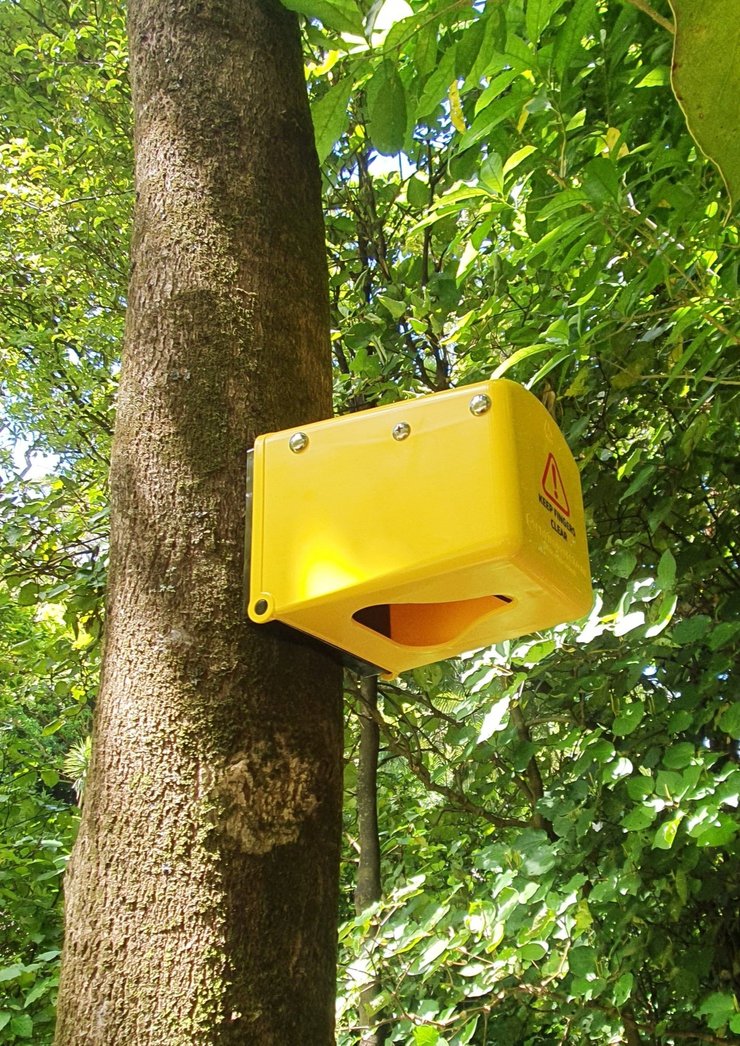 Start backyard trapping - Predator Free NZ Trust