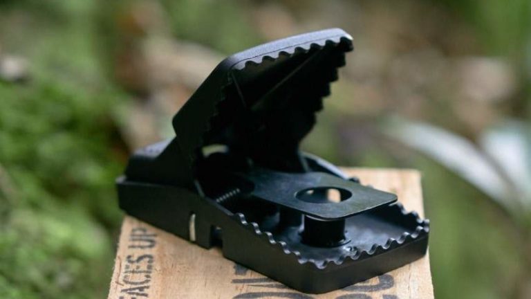 Where to buy traps and equipment - Predator Free NZ Trust