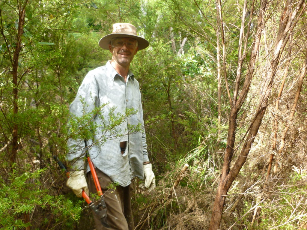 Group protects kiwi on Russell Peninsula - Predator Free NZ Trust