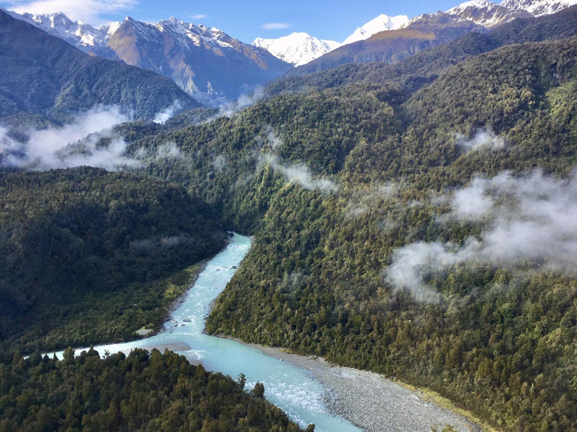 Zeroing in – toxic rodents lure last stoats - Predator Free NZ Trust