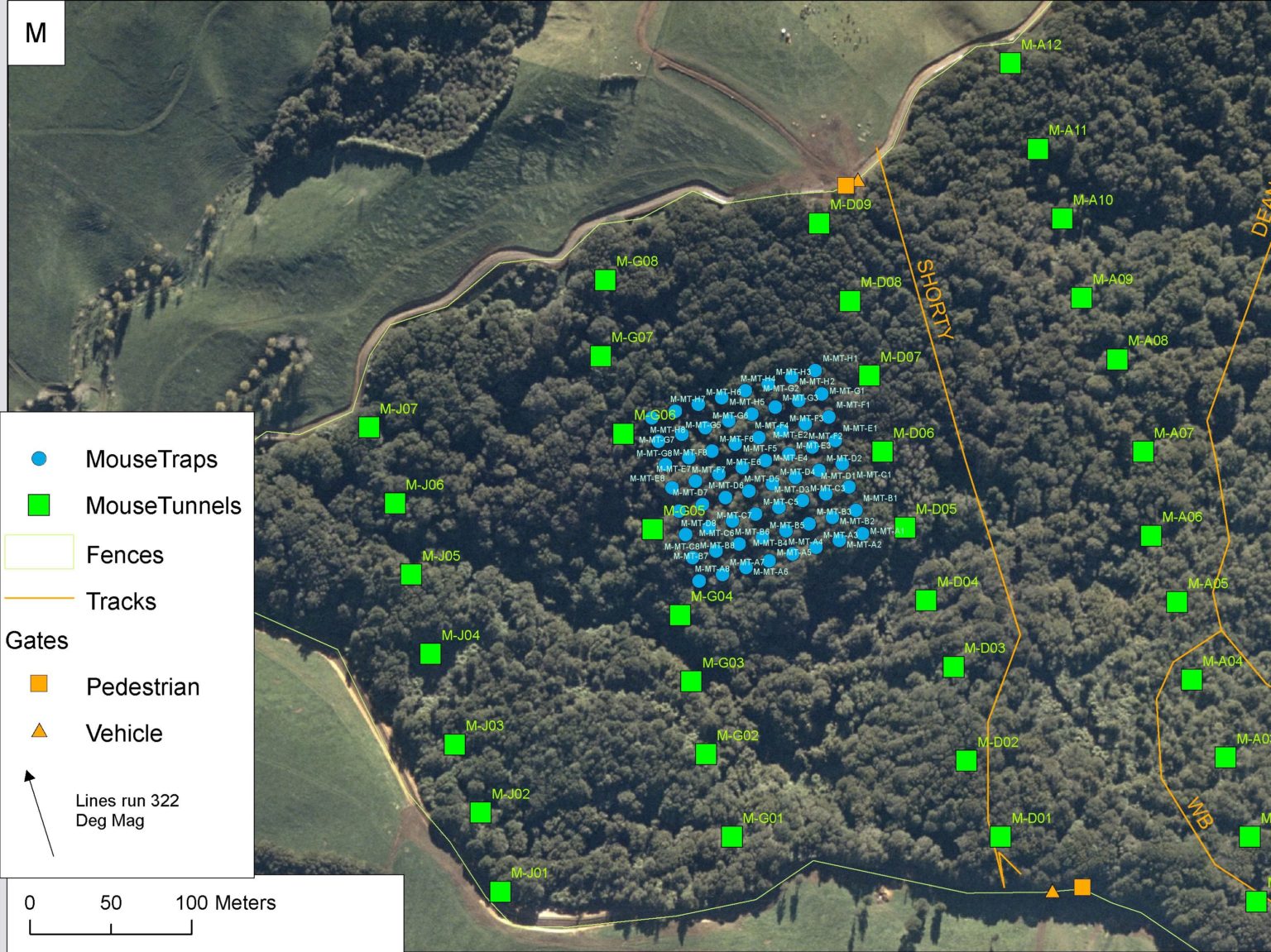 When it comes to predator free, do mice matter? - Predator Free NZ Trust