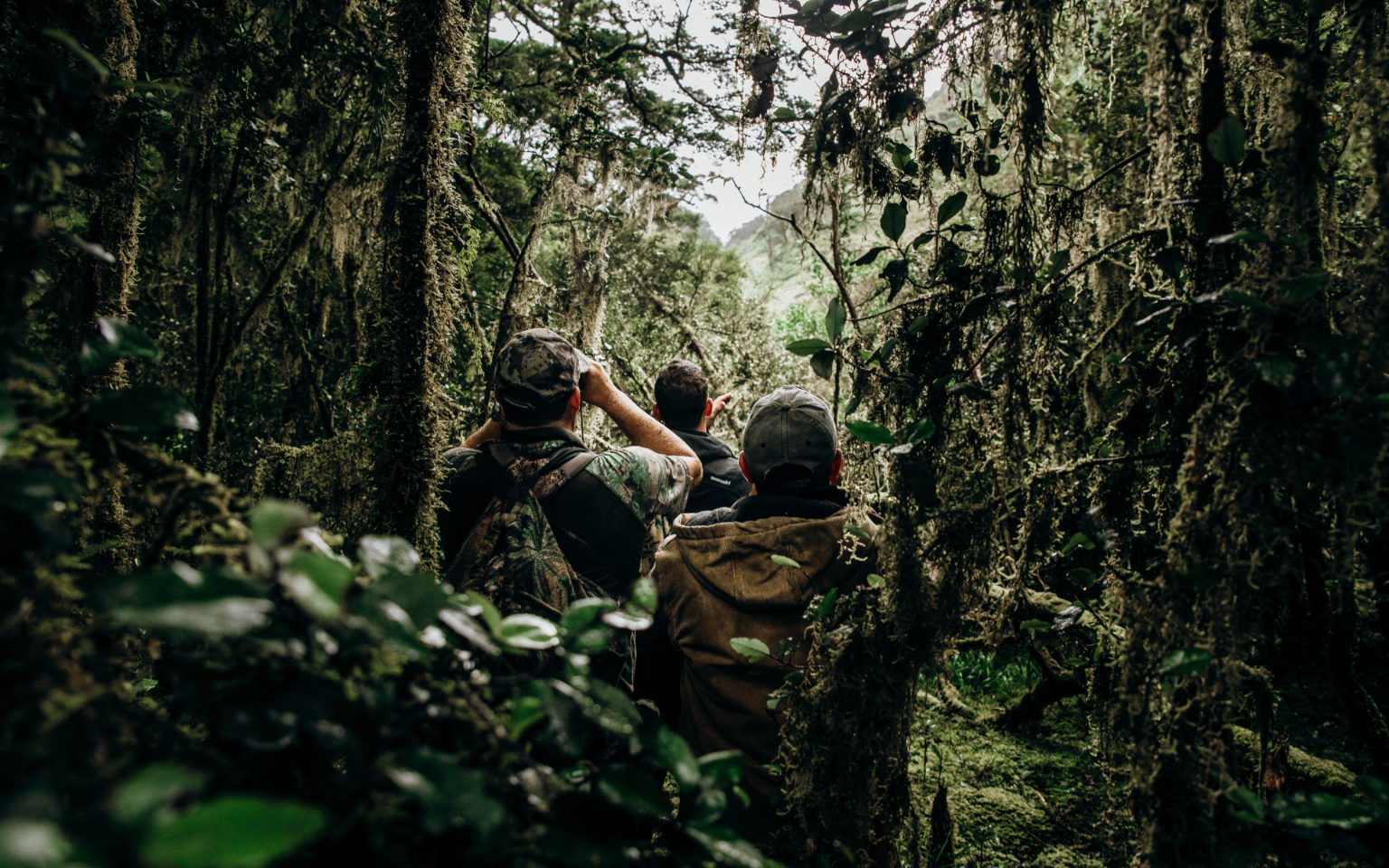 Predator Free NZ Trust - Get involved in backyard trapping