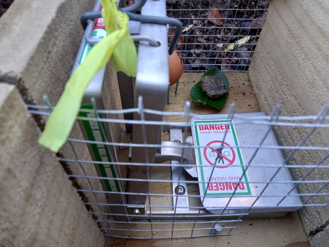 Odour lures offer a new temptation to stoats - Predator Free NZ Trust