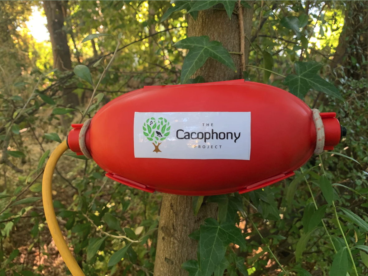 Science fiction meets reality: "ultimate device" to bring back birdsong ...