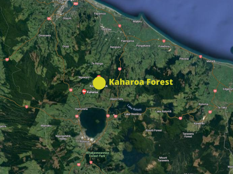 Creating corridors for kōkako - Predator Free NZ Trust