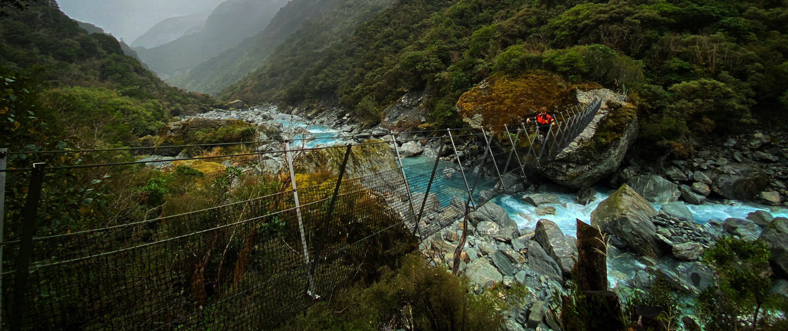 Giving it a crack: ZIP innovates mainland predator control - Predator ...