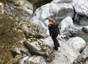 Giving it a crack: ZIP innovates mainland predator control - Predator ...