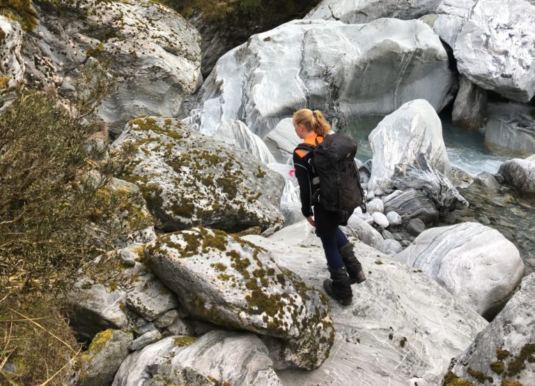 Giving it a crack: ZIP innovates mainland predator control - Predator ...