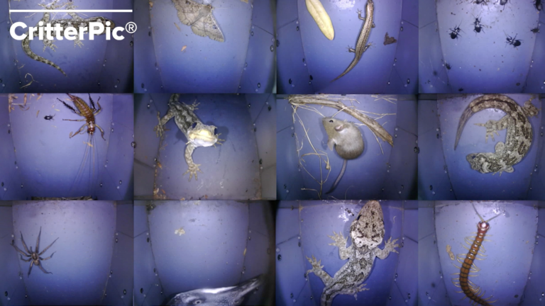 High-tech predator control solutions for today, not tomorrow - Predator ...