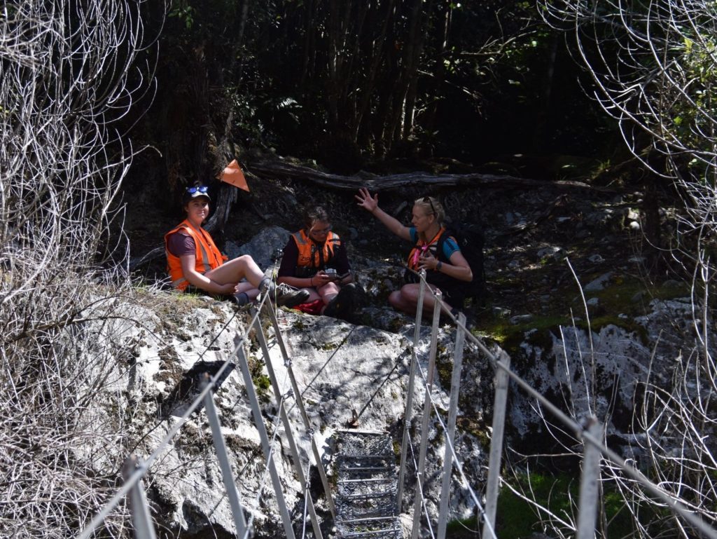 A day in the life of a predator ecologist - Predator Free NZ Trust