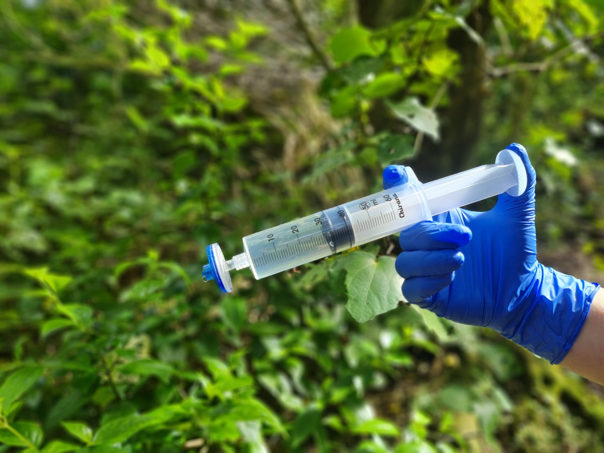 A cupful of water reveals native and pest species - Predator Free NZ Trust