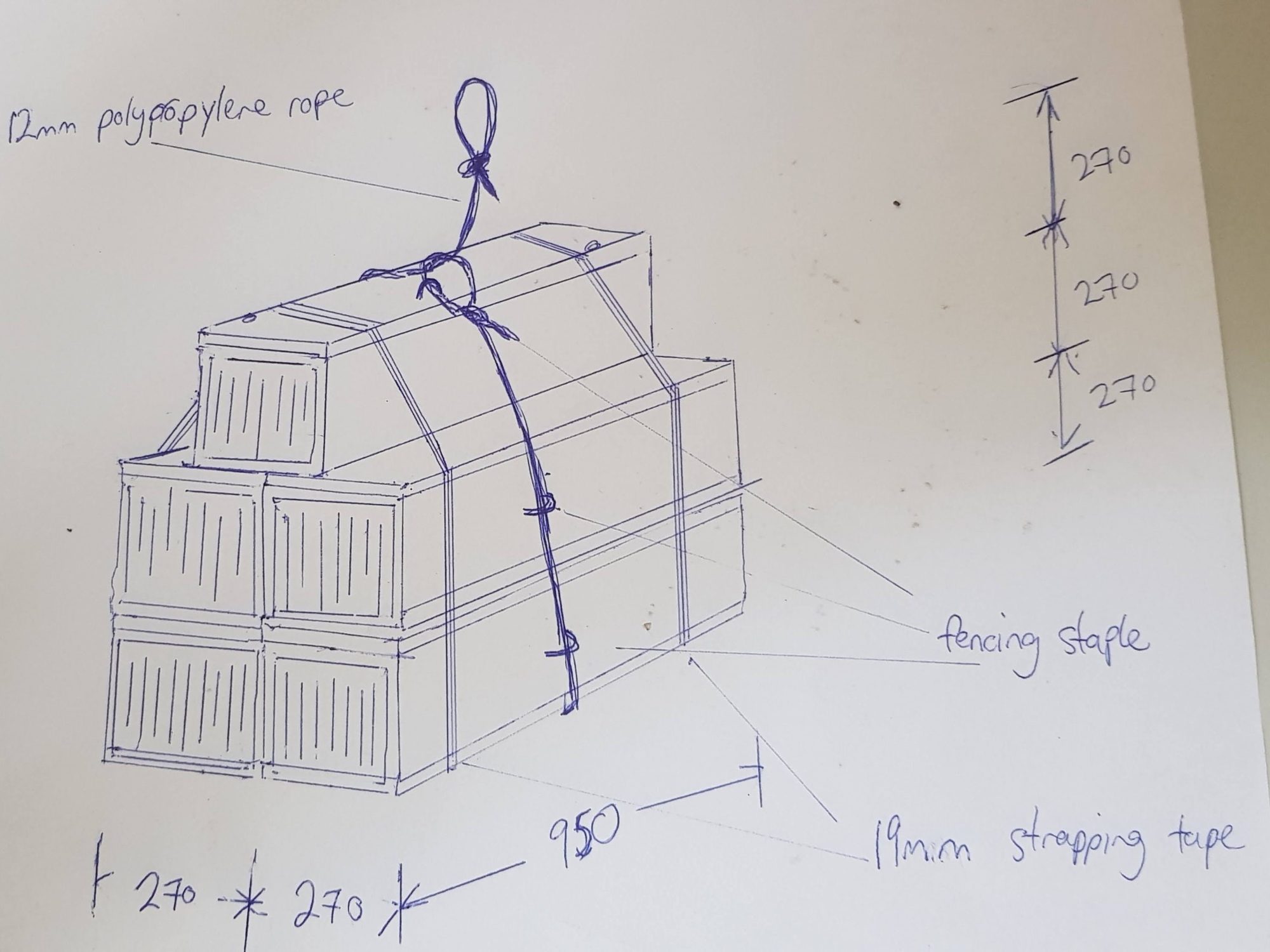 Day in the life: installing a trap network in an ancient forest ...