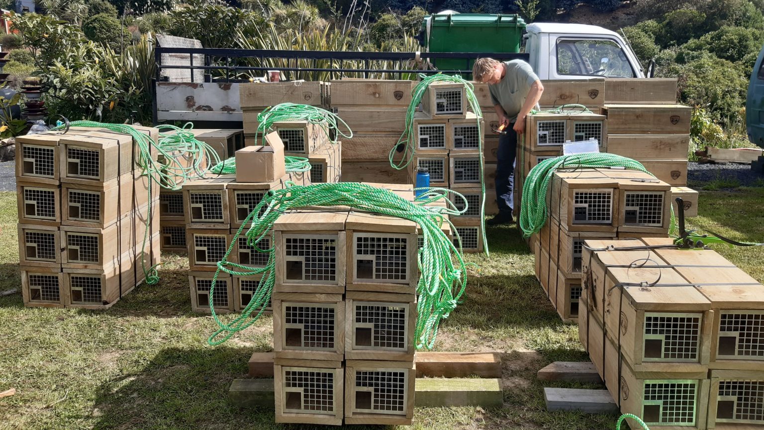 Day in the life: installing a trap network in an ancient forest ...