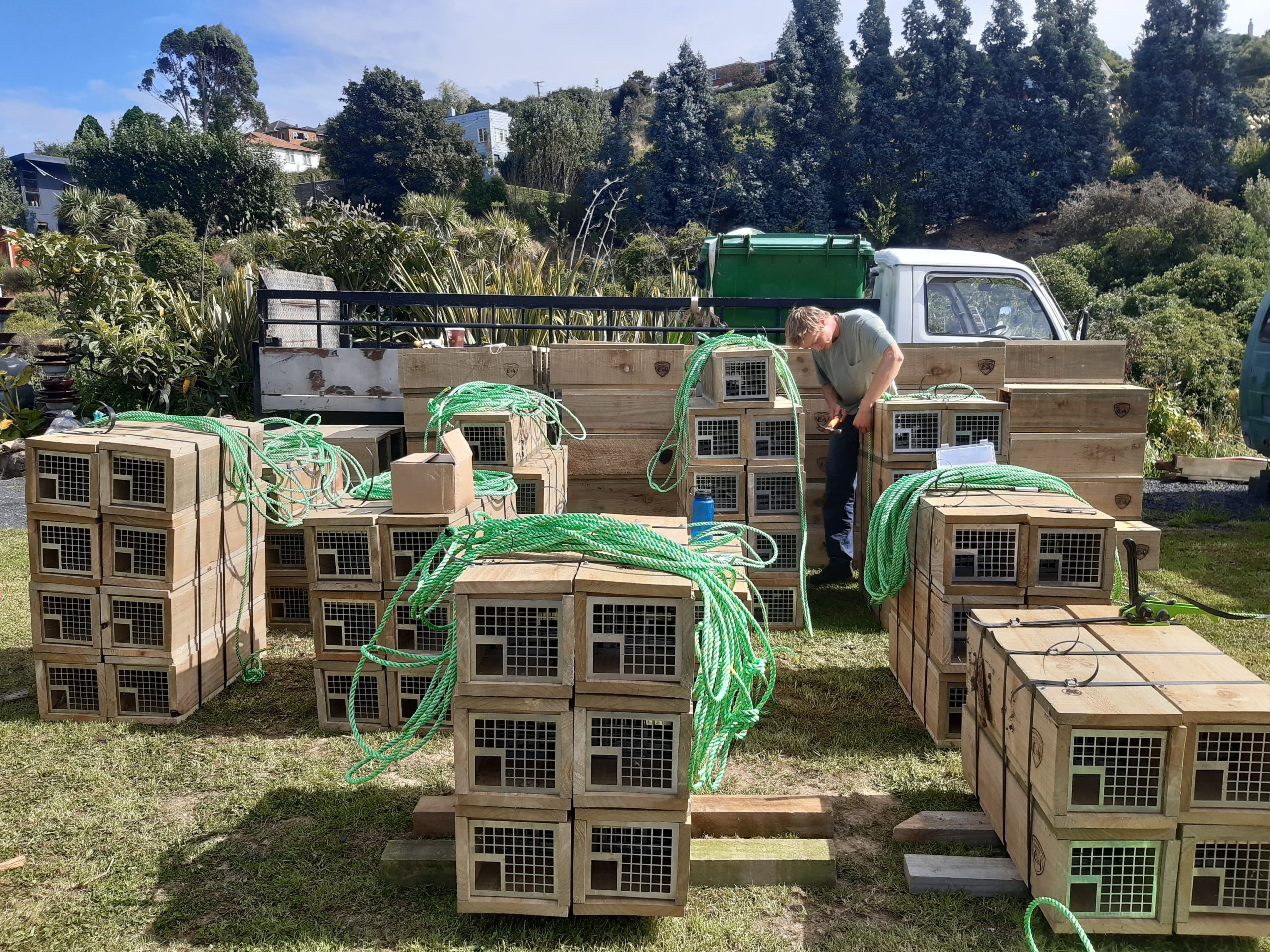 Day in the life: installing a trap network in an ancient forest ...