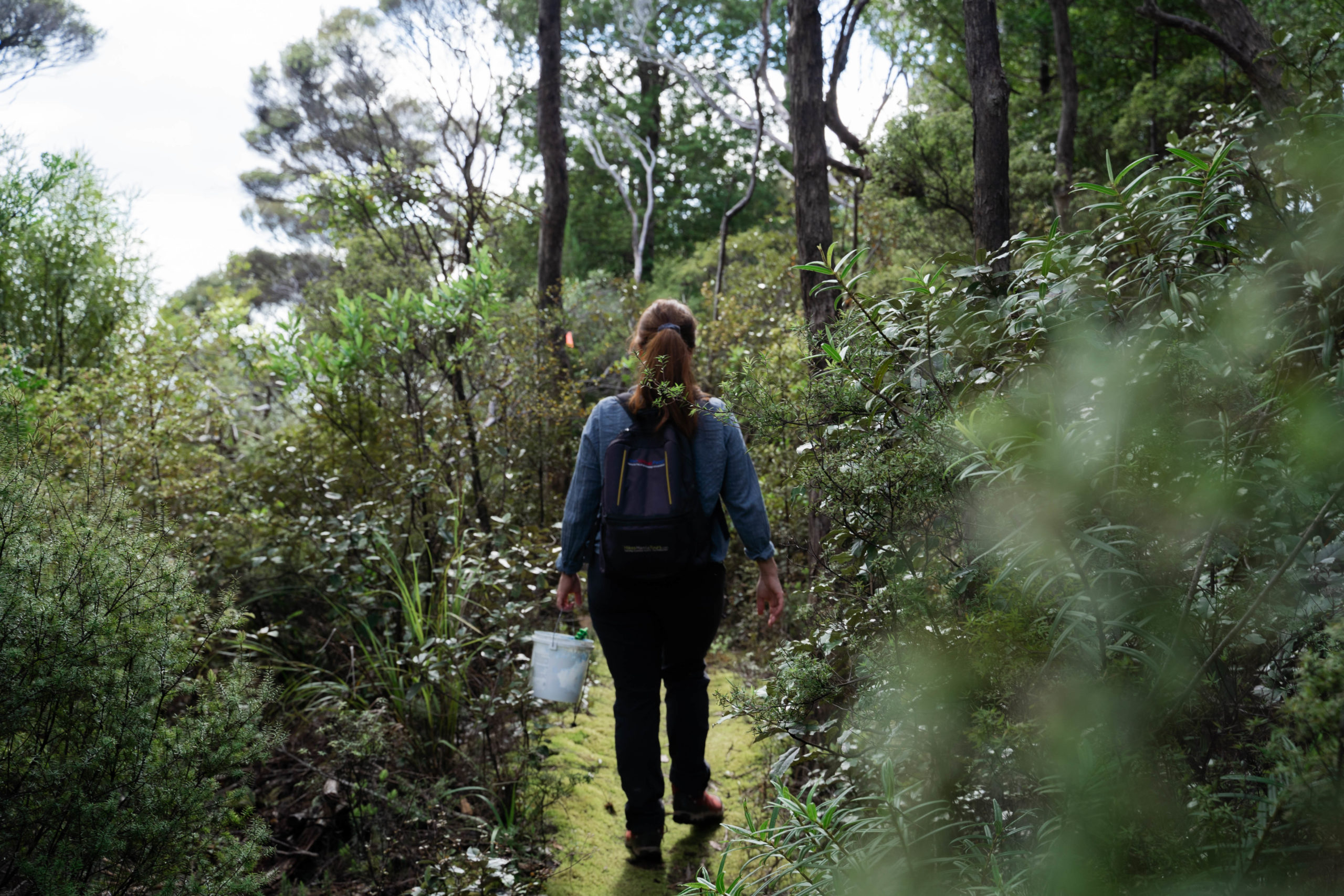 5 insights from women in conservation - Predator Free NZ Trust