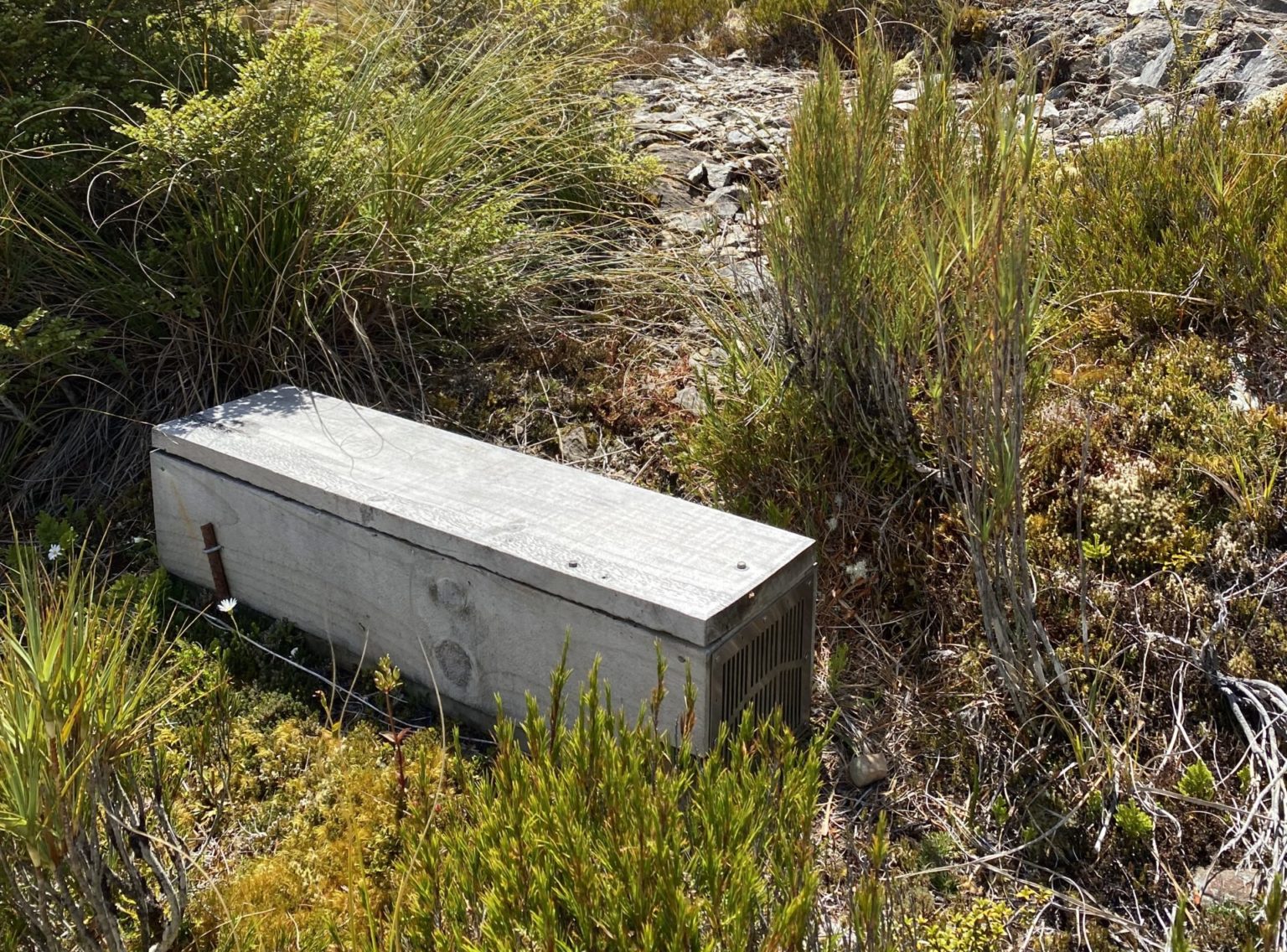 Who invented DOC traps? - Predator Free NZ Trust