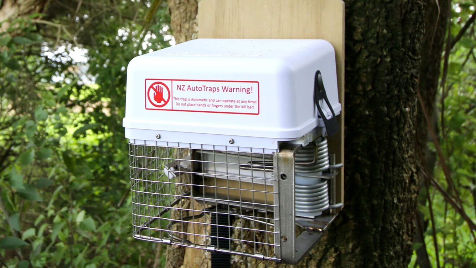 Trap tech: how the AT220 is innovating pest tech - Predator Free NZ Trust