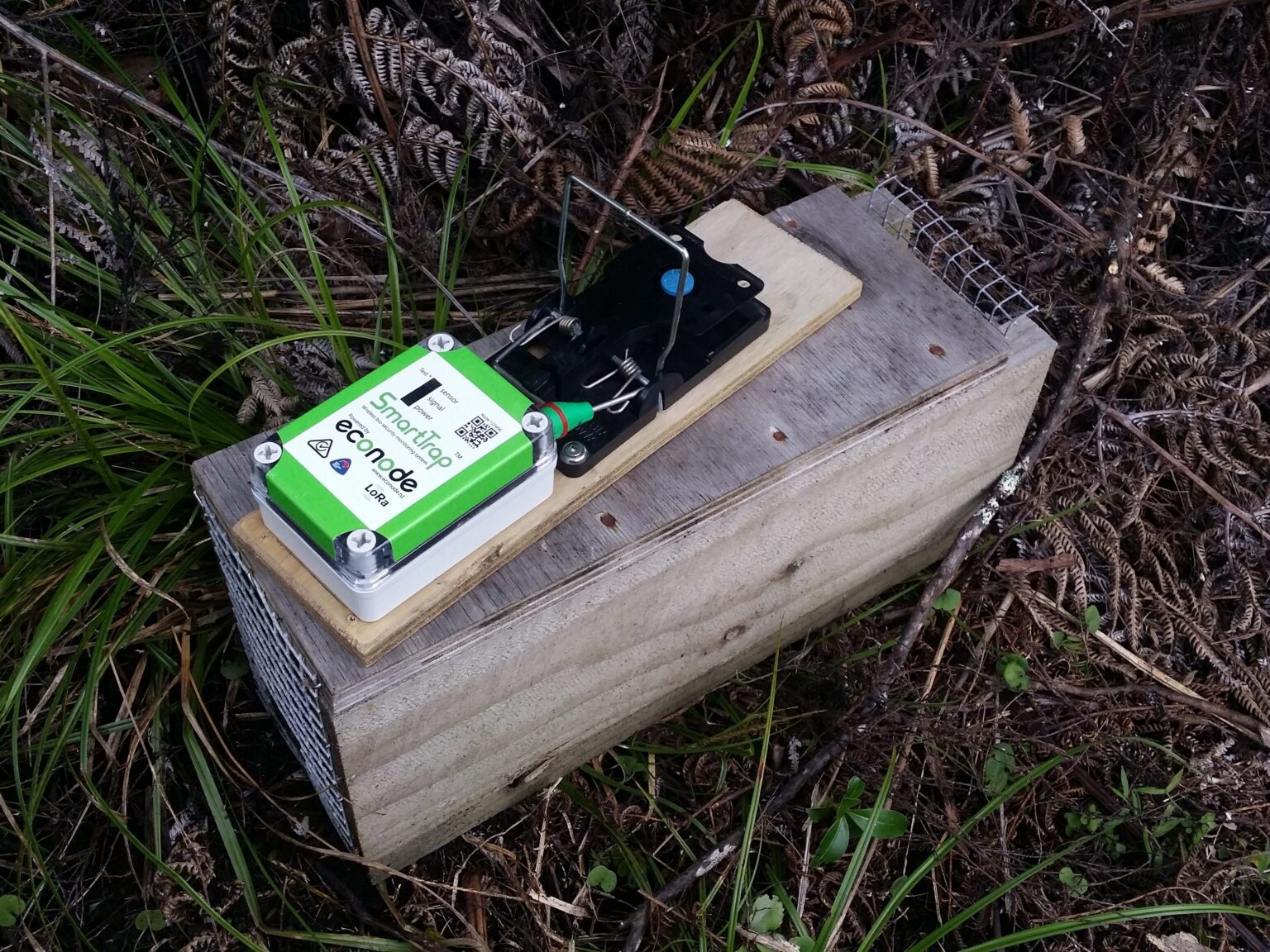 Remote monitoring of traps - Predator Free NZ Trust