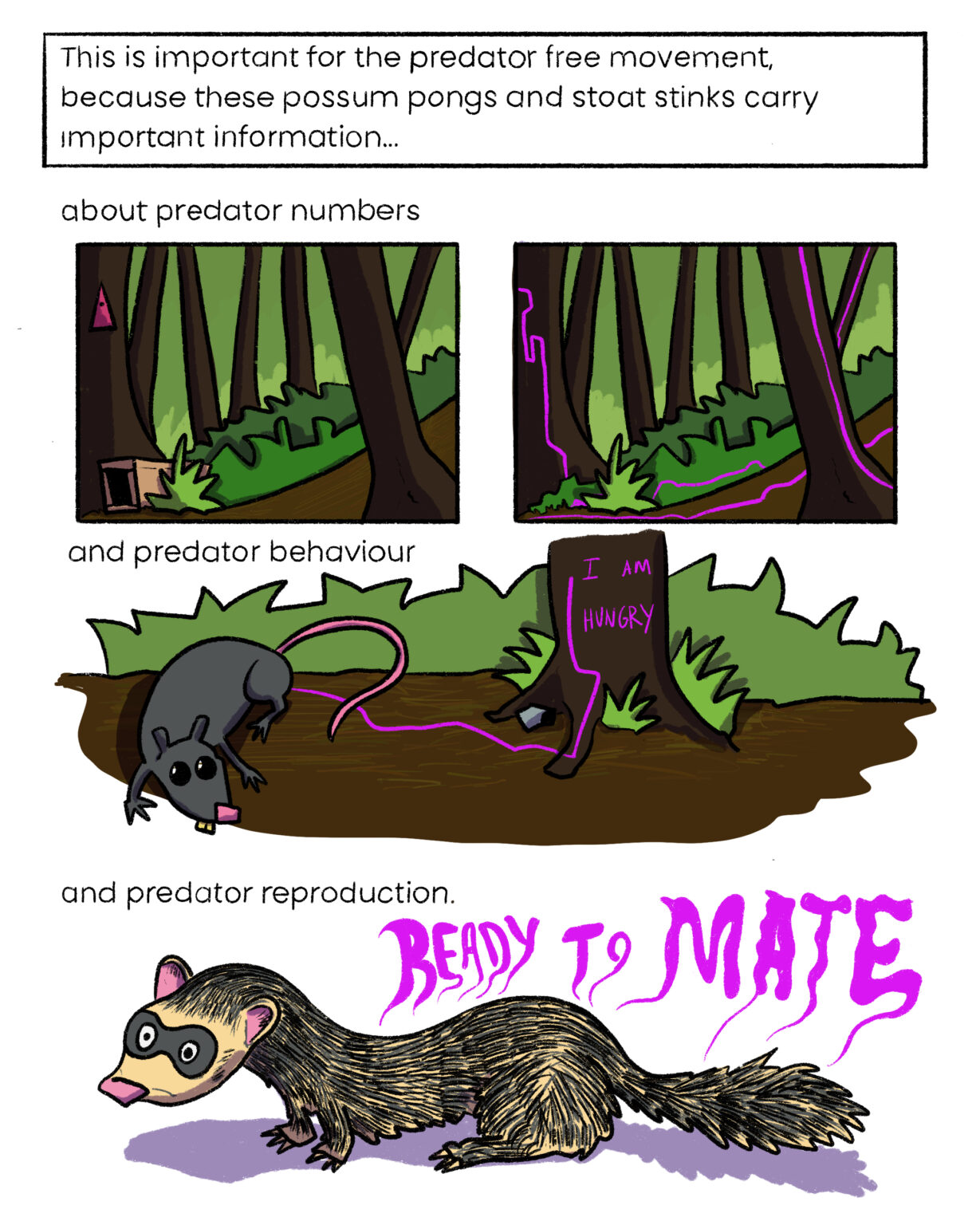 Comic: Smelly predator science - Predator Free NZ Trust