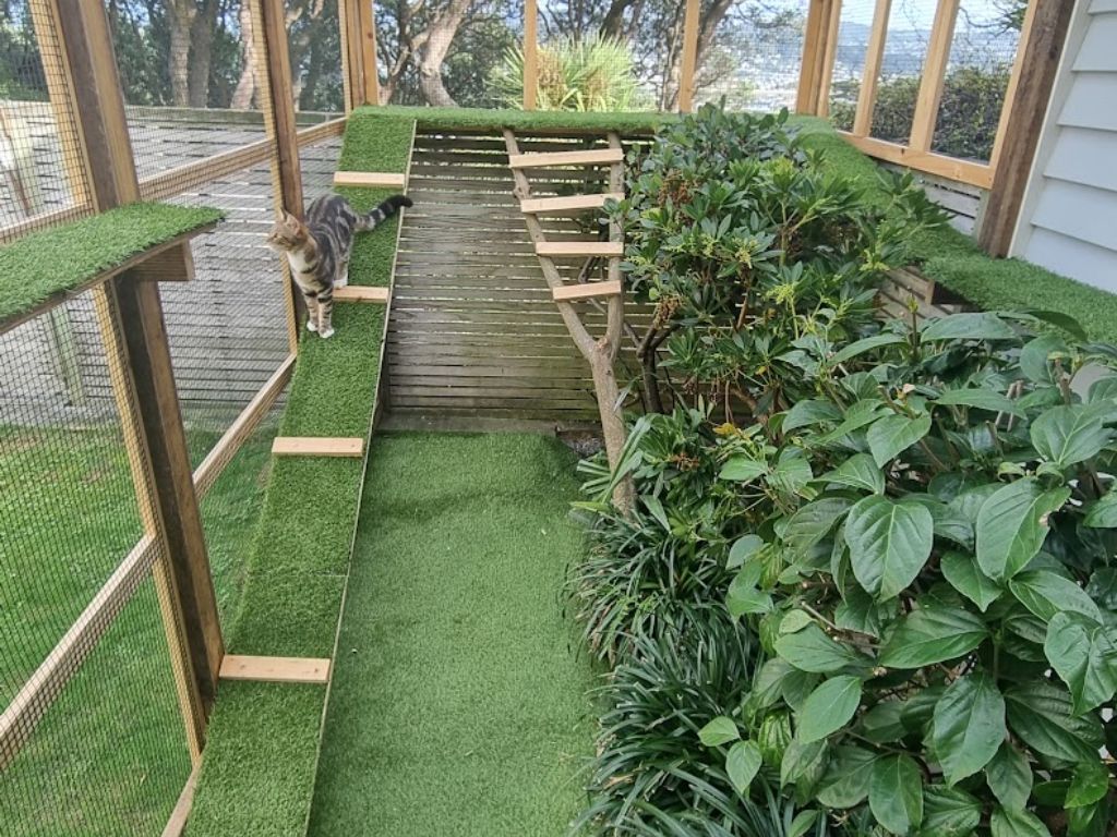 Outdoor Cat Enclosure Designs Patios For Cats Obviously Outdoor Cat Enclosure Designs Patios For Cats Obviously