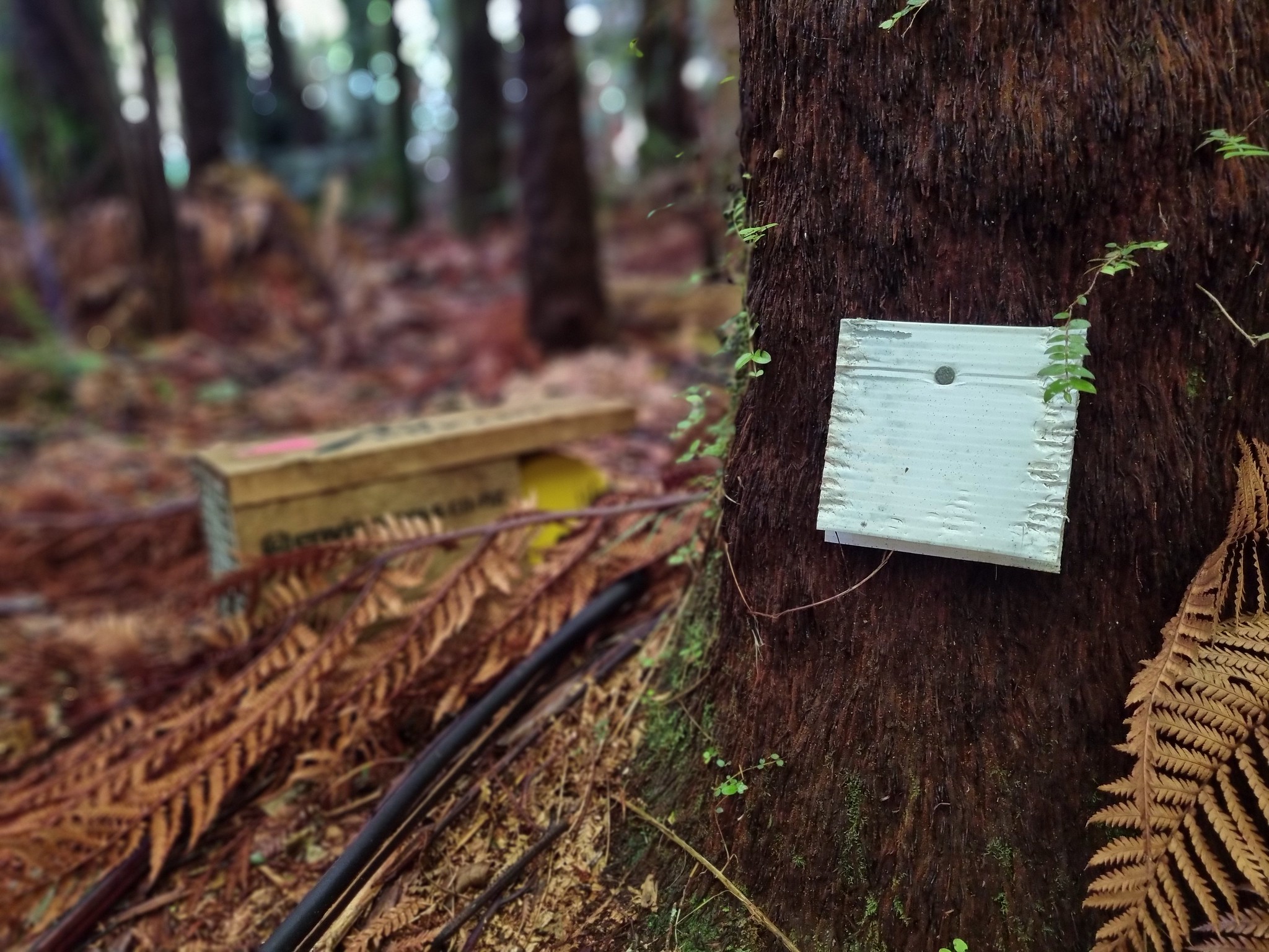 Where to buy traps and equipment - Predator Free NZ Trust