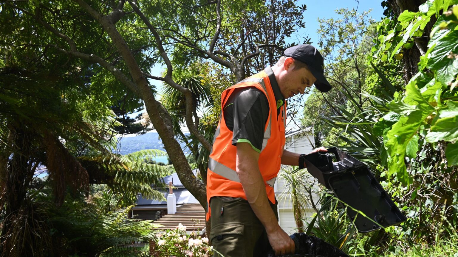 A day in the life: Predator Free Wellington - Predator Free NZ Trust