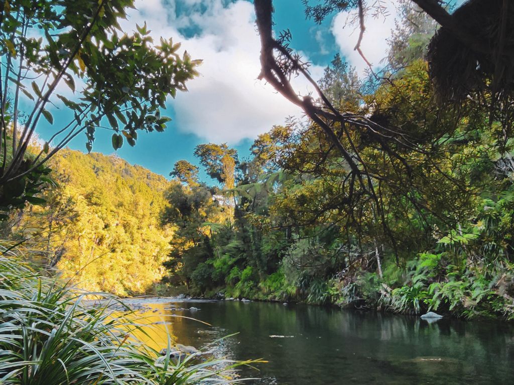 A day in the life: Hako Restoration Project restoring mauri in the ...