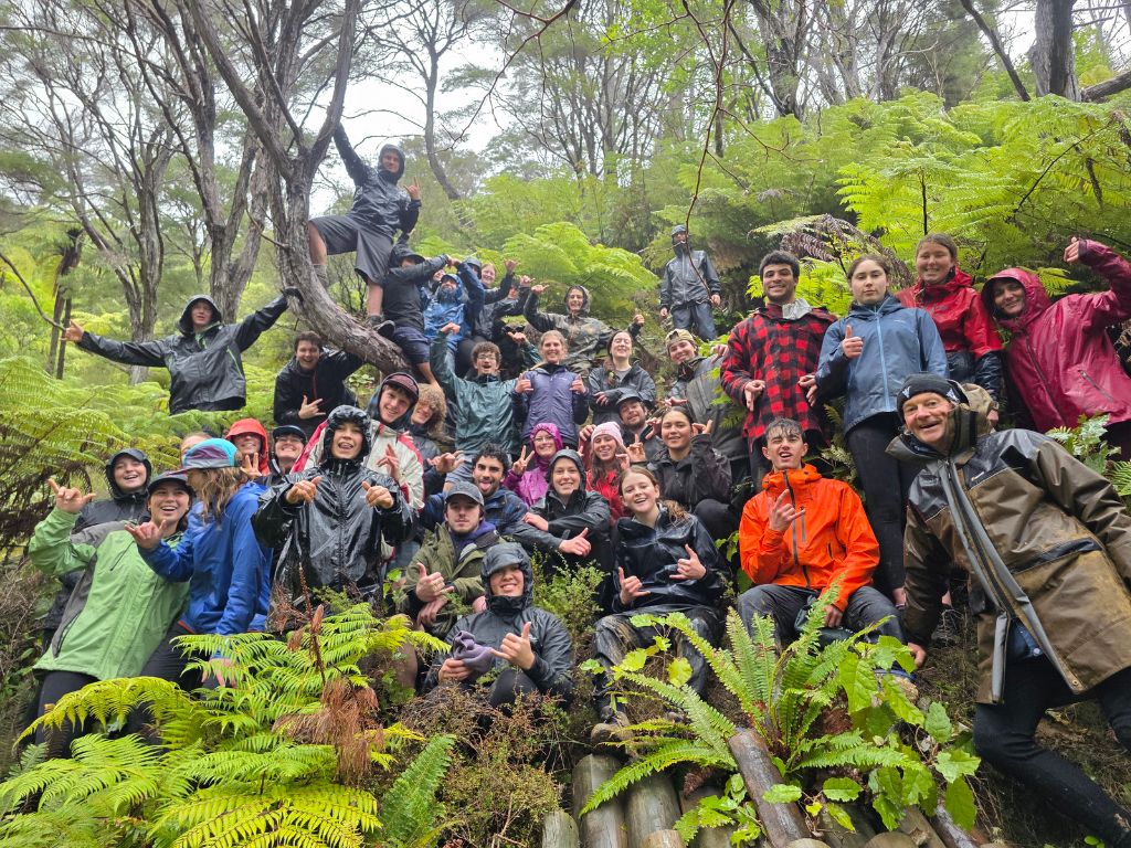 From wasp swarms to birdsong: 1500 wasp nests removed in five years ...