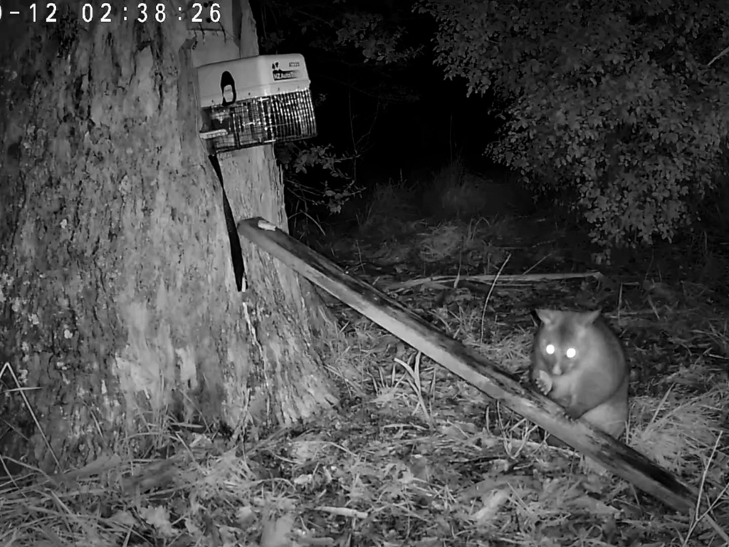 Oreos and uppers: inside the research to get the last 1% of predators ...