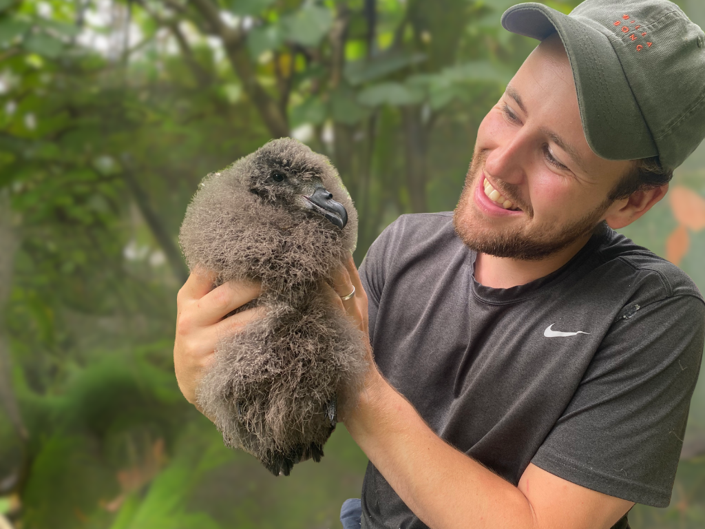 From two burrows to 150: saving seabirds in Auckland - Predator Free NZ ...